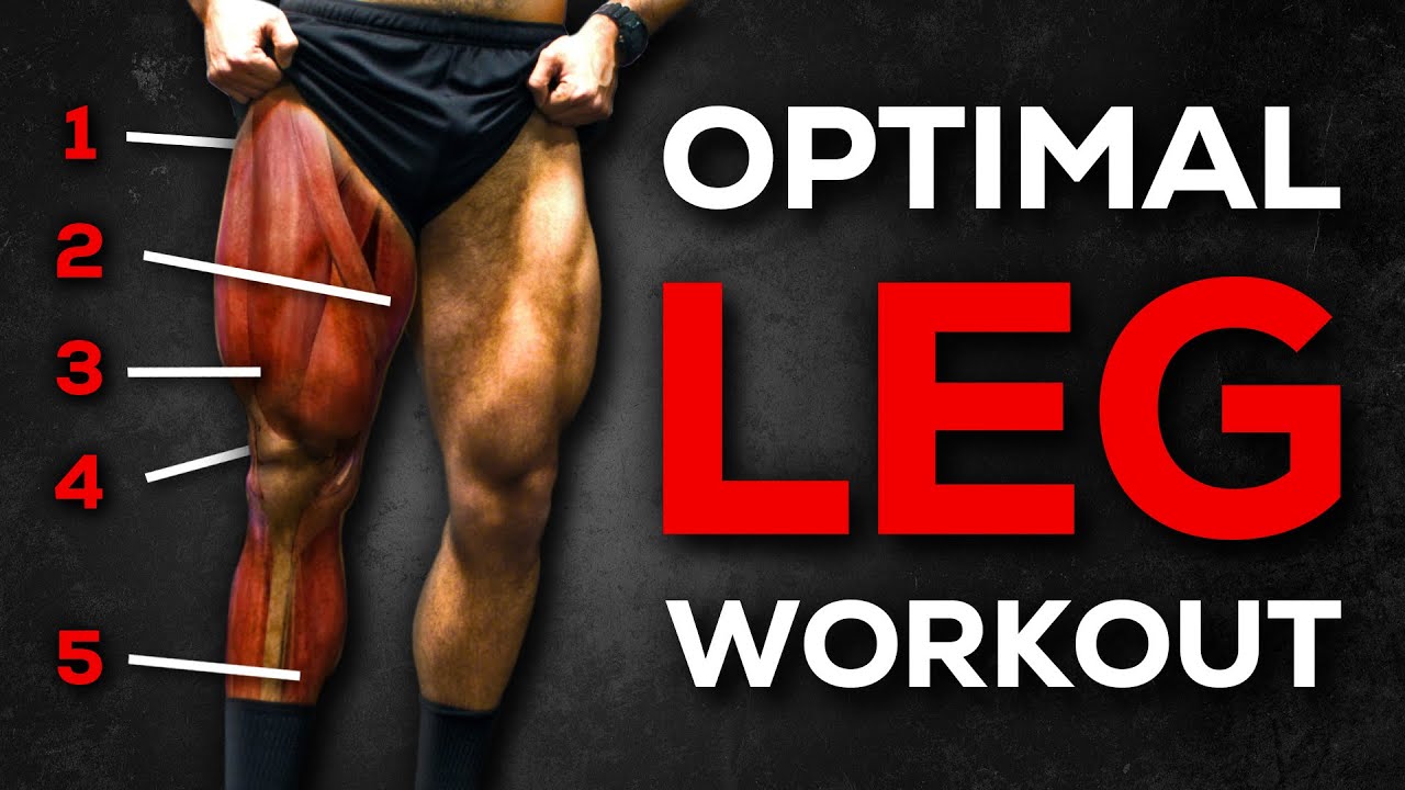 The Best LEG DAY for MUSCLE GROWTH (According to Science) - YouTube