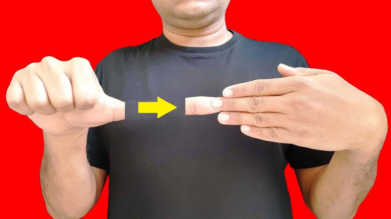 5 Easy Magic Tricks You Will Love To Watch Now - YouTube