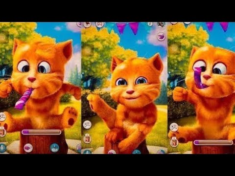 Talking ginger | bathing fun | happy mood | enjoyment | talkingcat ...