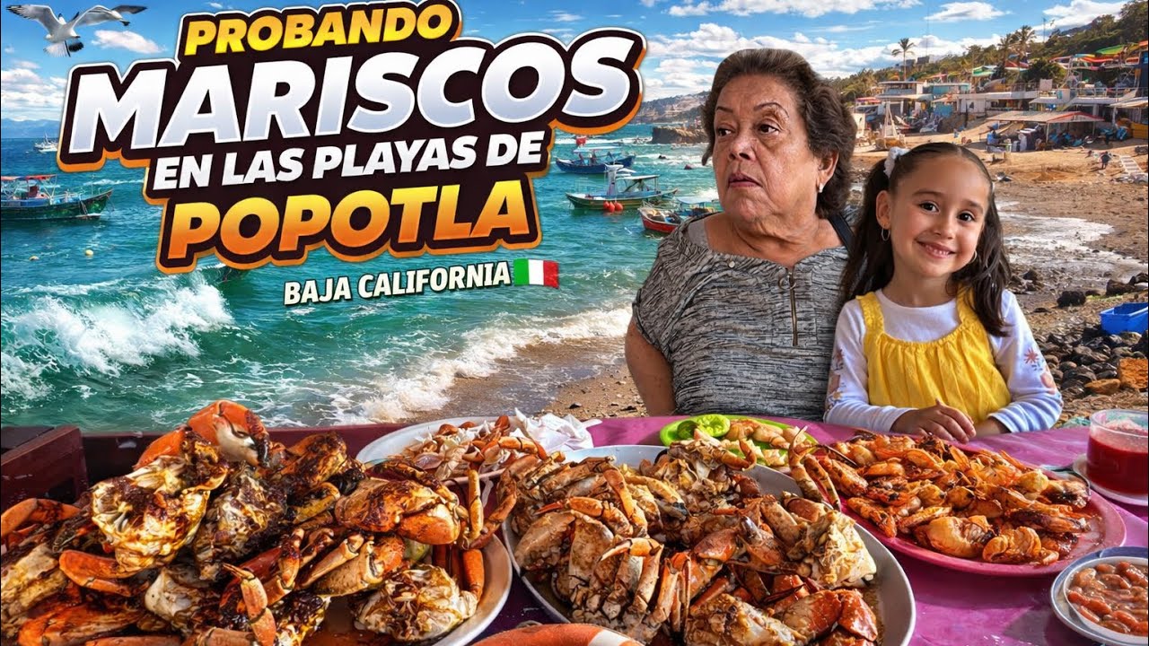 Conociendo Popotla BC donde se come mariscos🦞🦐recién sacados del mar 🌊 ...