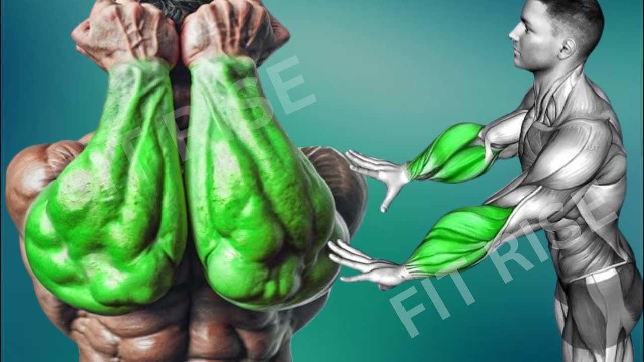 how to make your forearms bigger and stronger | Get Bigger and Stronger ...