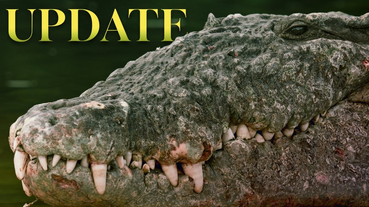 Chasing Croczilla: Behind-the-Scenes Teaser | Everglades Documentary ...