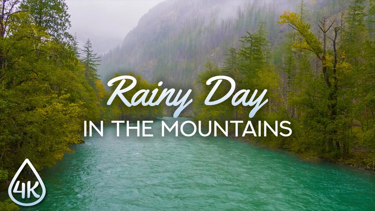 Rainfall in North Cascades 4K - 3 Hours ASMR Sounds of Raindrop, Mountain River and Birds ...