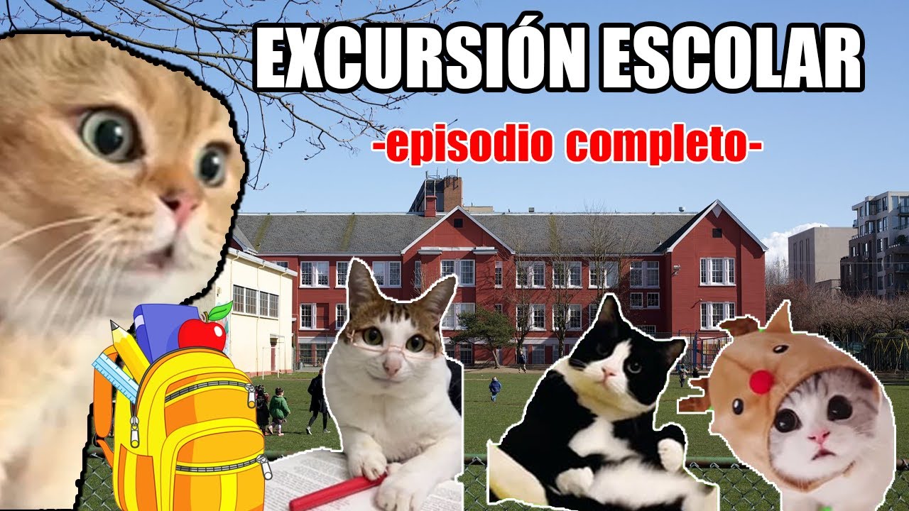 EXCURSIÓN ESCOLAR, episodio completo (meme de gatos) - YouTube