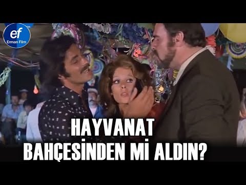 Hayat Bayram Olsa  - Sen Bunu Hayvanat Bahçesinde mi Aldın?