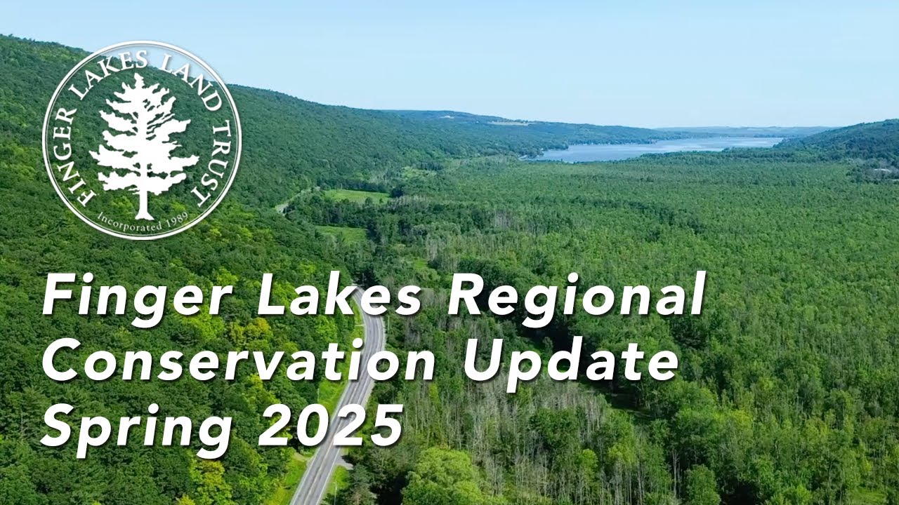 Finger Lakes Regional Conservation Update - March 2025 - Andy Zepp ...