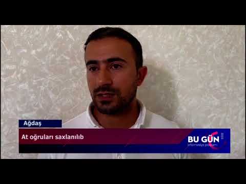 Ağdaşda at oğruları saxlanılıb