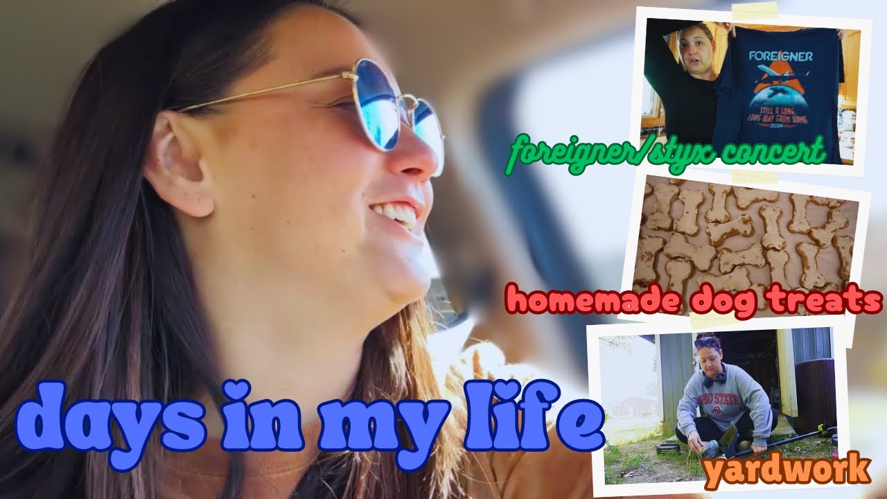 days in my life - foreigner/styx concert - homemade dog treats - doing ...