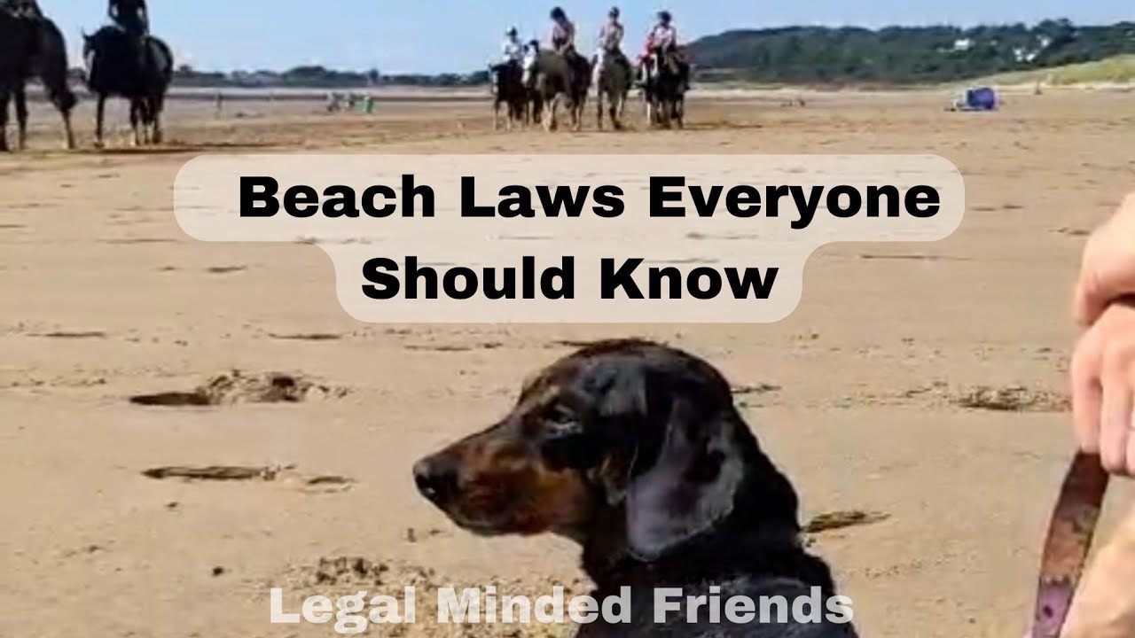UK Beach Laws & Safety Information Everyone Should Know About - YouTube