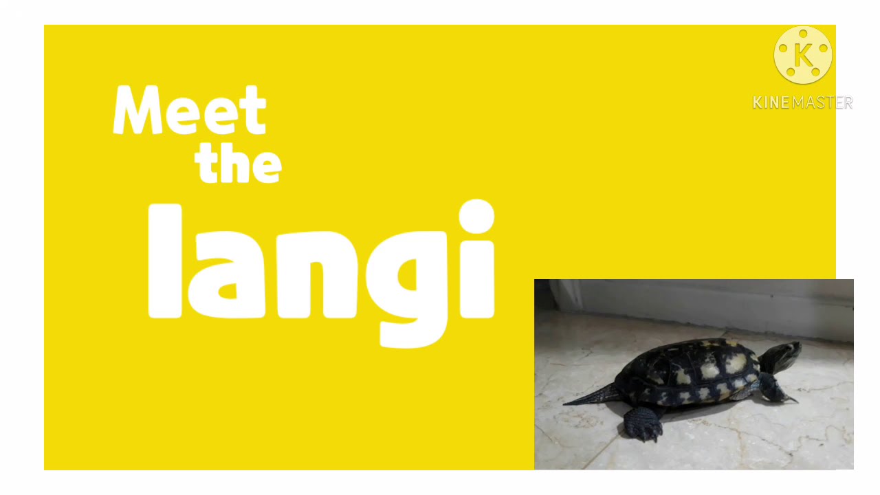 Meet the langi - YouTube