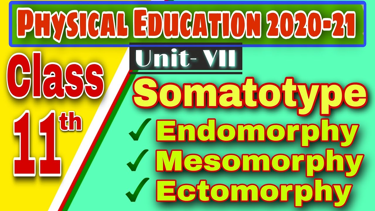 Somato Types || Endomorphy, Mesomorphy and Ectomorphy || Physical ...