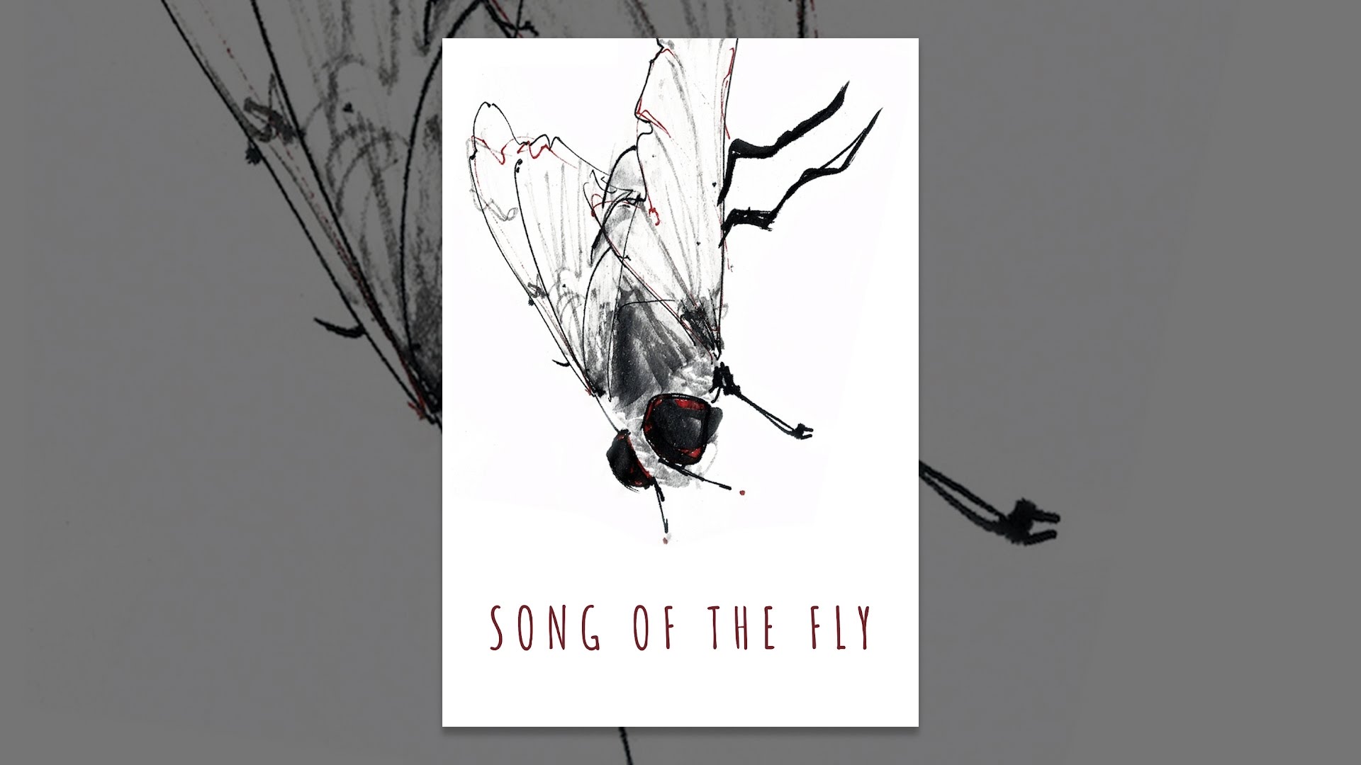 Song of the fly - YouTube