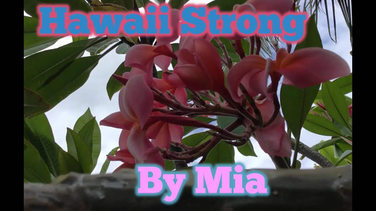 Hawaii Strong (An Original Composition Update) - YouTube
