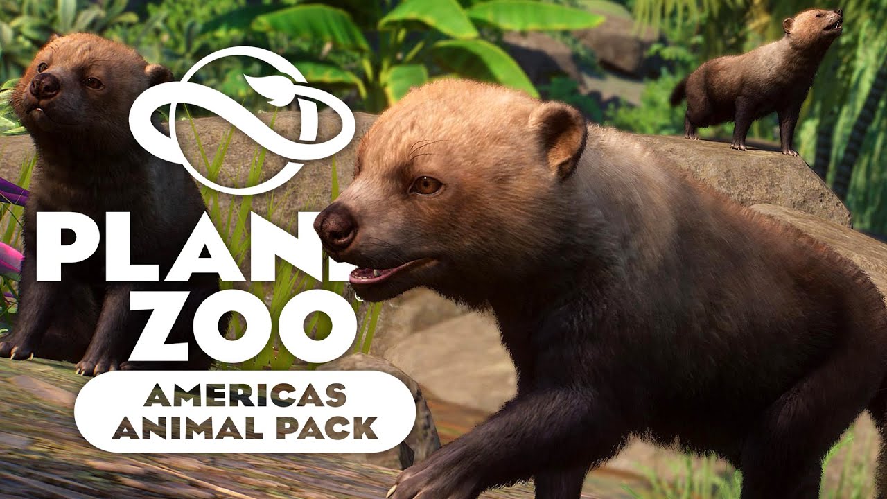 First Look At The New BUSH DOG Coming To Planet Zoo! | Americas Animal ...