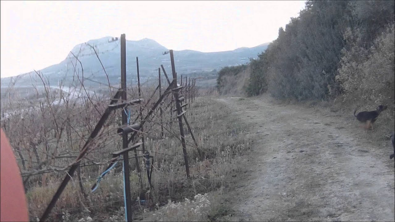 ΚΥΝΗΓΙ ΛΑΓΟΥ ΑΥΤΑ ΔΕ ΓΙΝΟΝΤΑΙ - YouTube