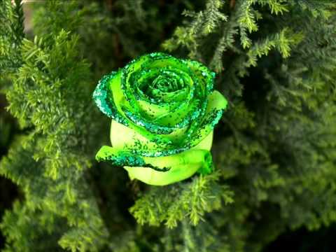 PUIU CODREANU - VREAU SA MOR IN BRATE LA TINE.wmv