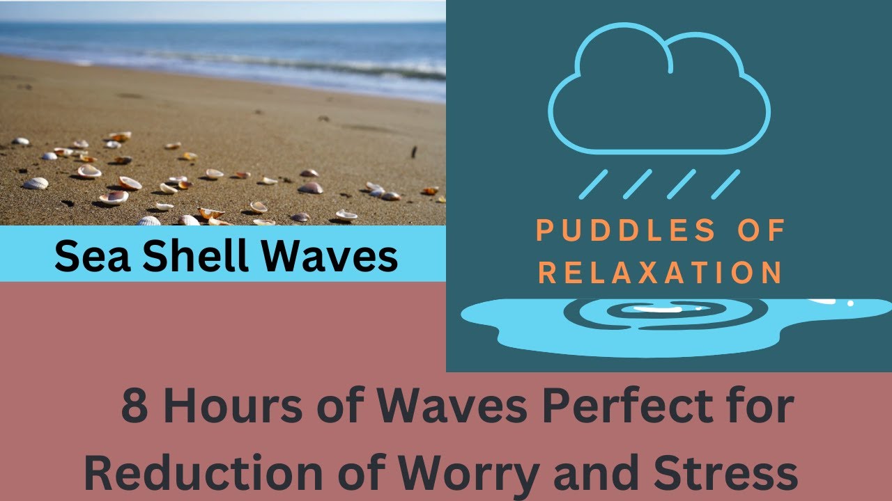 Sea Shell Waves (8 hours) Helps with Reduction of Stress and Worry ...