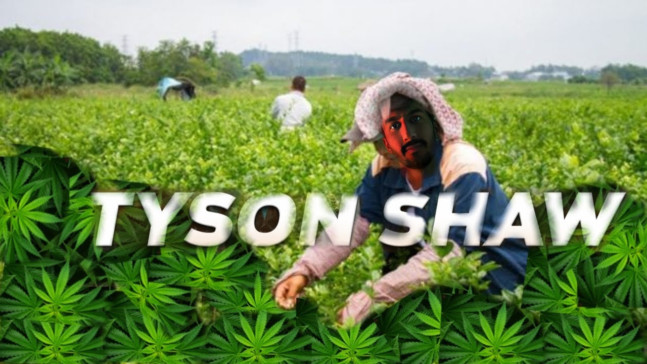 දළු නෙලමු! 😁 | Ceylon RP| Tyson Shaw - YouTube