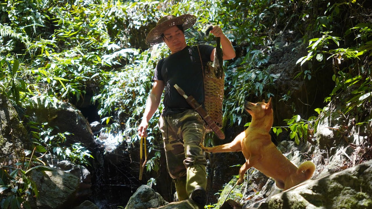 Wild Food Foraging, Hunting, Shelter, Catch and Cook: Survival Alone ...