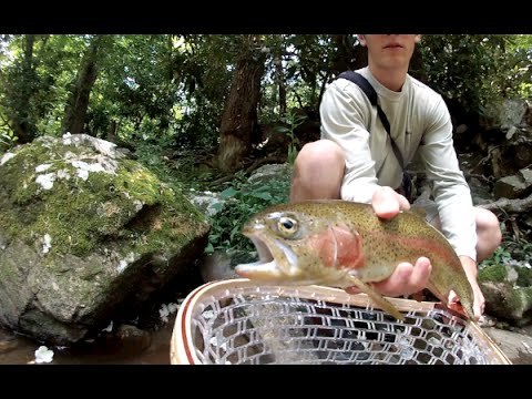 Mountainside - Summer Fly Fishing Cherokee North Carolina - YouTube
