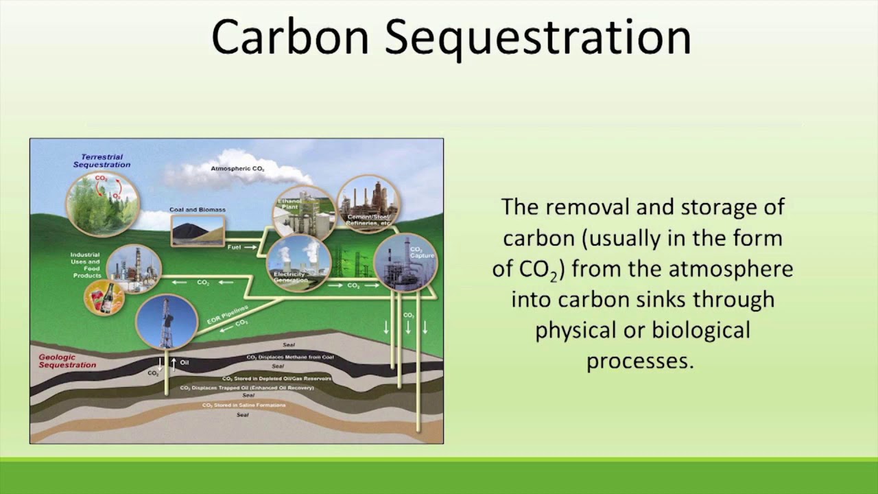 Carbon Sequestration - YouTube