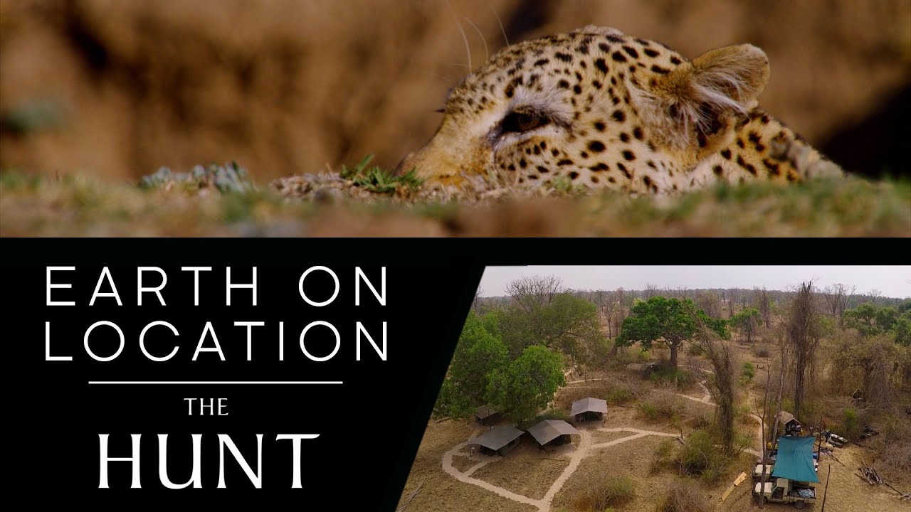 Filming A Leopard Hunt | The Hunt | #EarthOnLocation Vlog | BBC Earth ...
