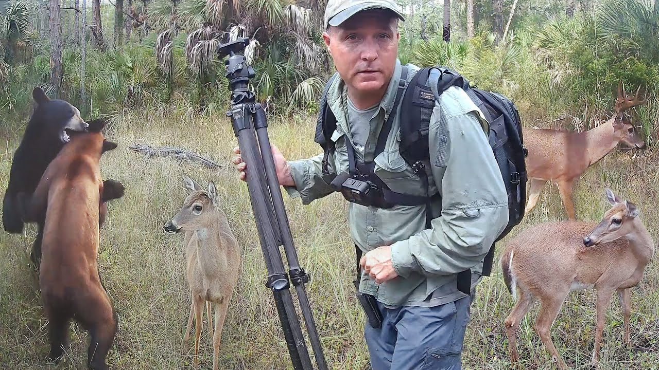 Tim Harrell Swamp Trail Camera Pickup - YouTube
