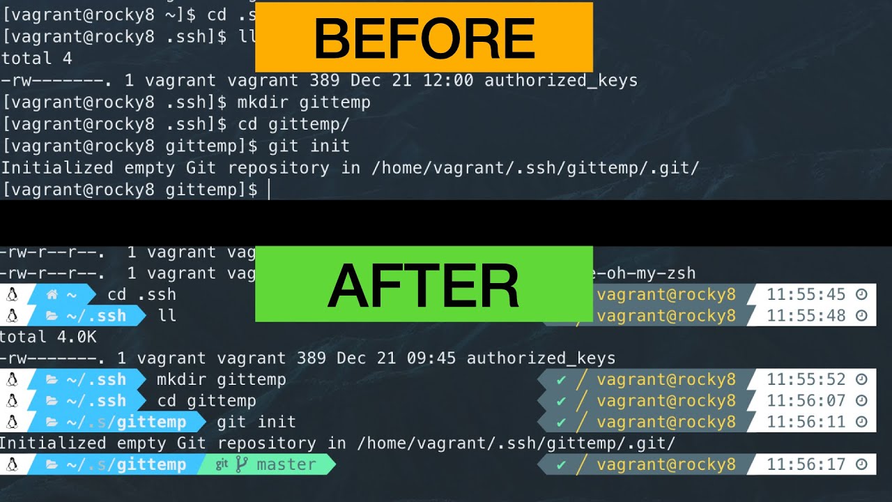 Make your Linux CLI look like a PRO with oh-my-zsh and powerlevel10k ...