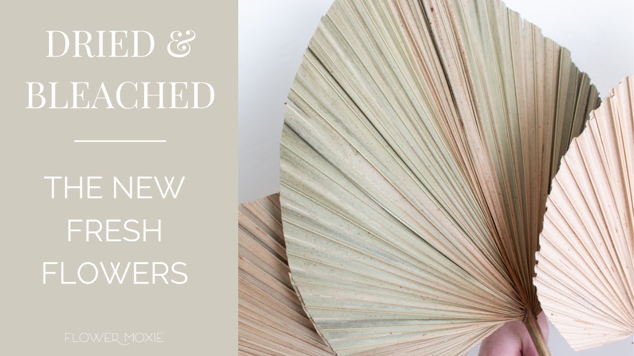 Dried and Bleached Product: The New Fresh Flowers - YouTube