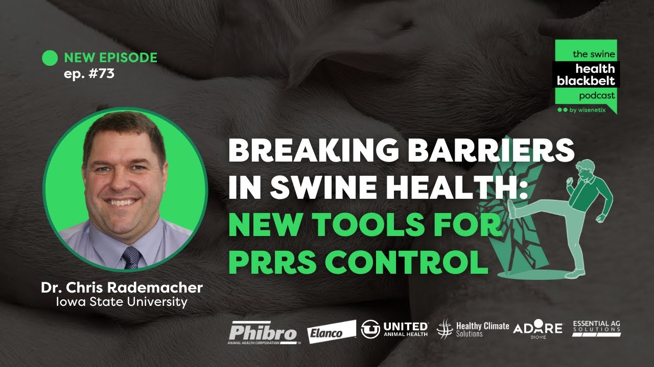 Dr. Chris Rademacher: Novel PRRS Control Tools | Ep. 73 - YouTube