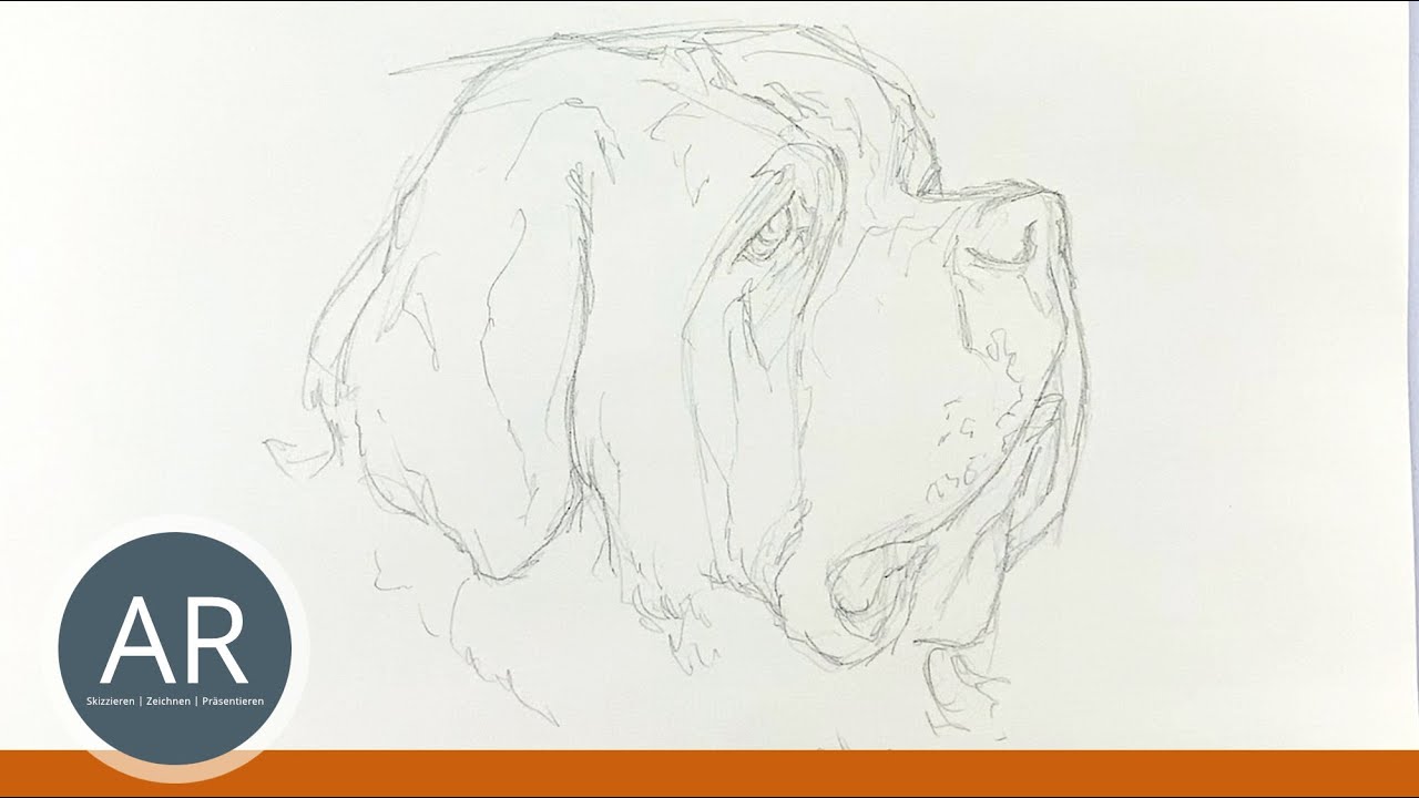Einen Hund zeichnen. Hunde-Kopf richtig zeichnen. Tier-Portraits ...