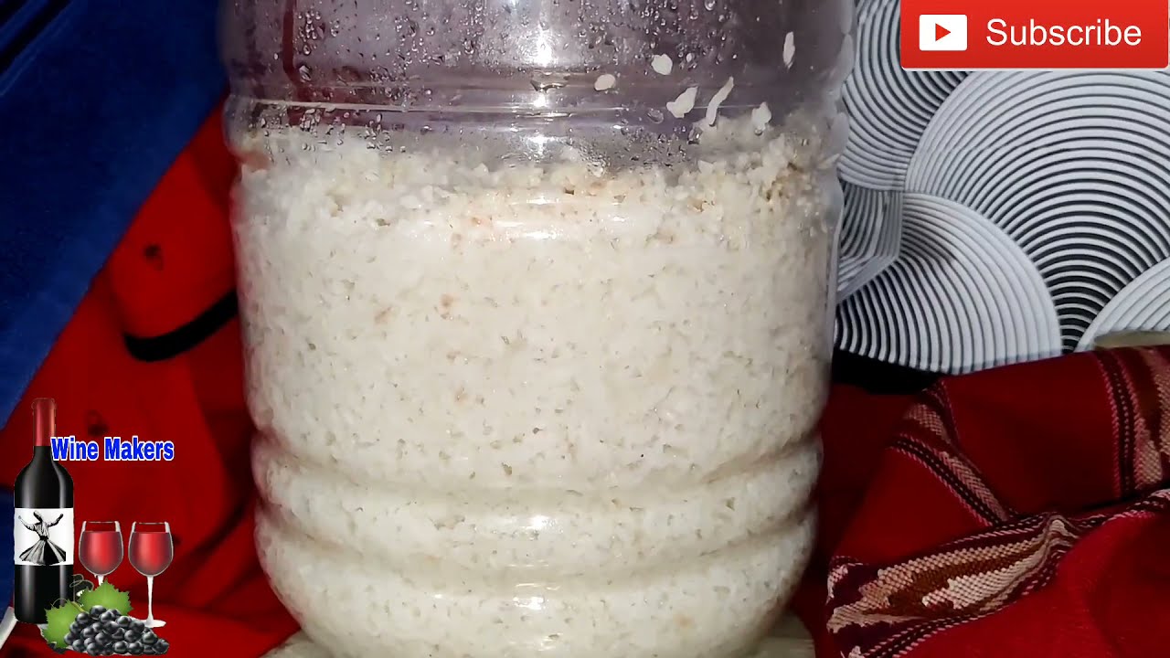 Rice Beer Handia fermentation. चावल की बीयर - YouTube