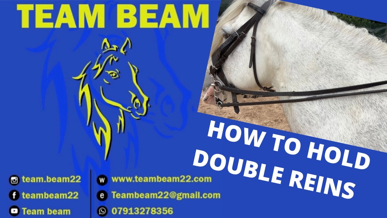 How to hold double reins - YouTube