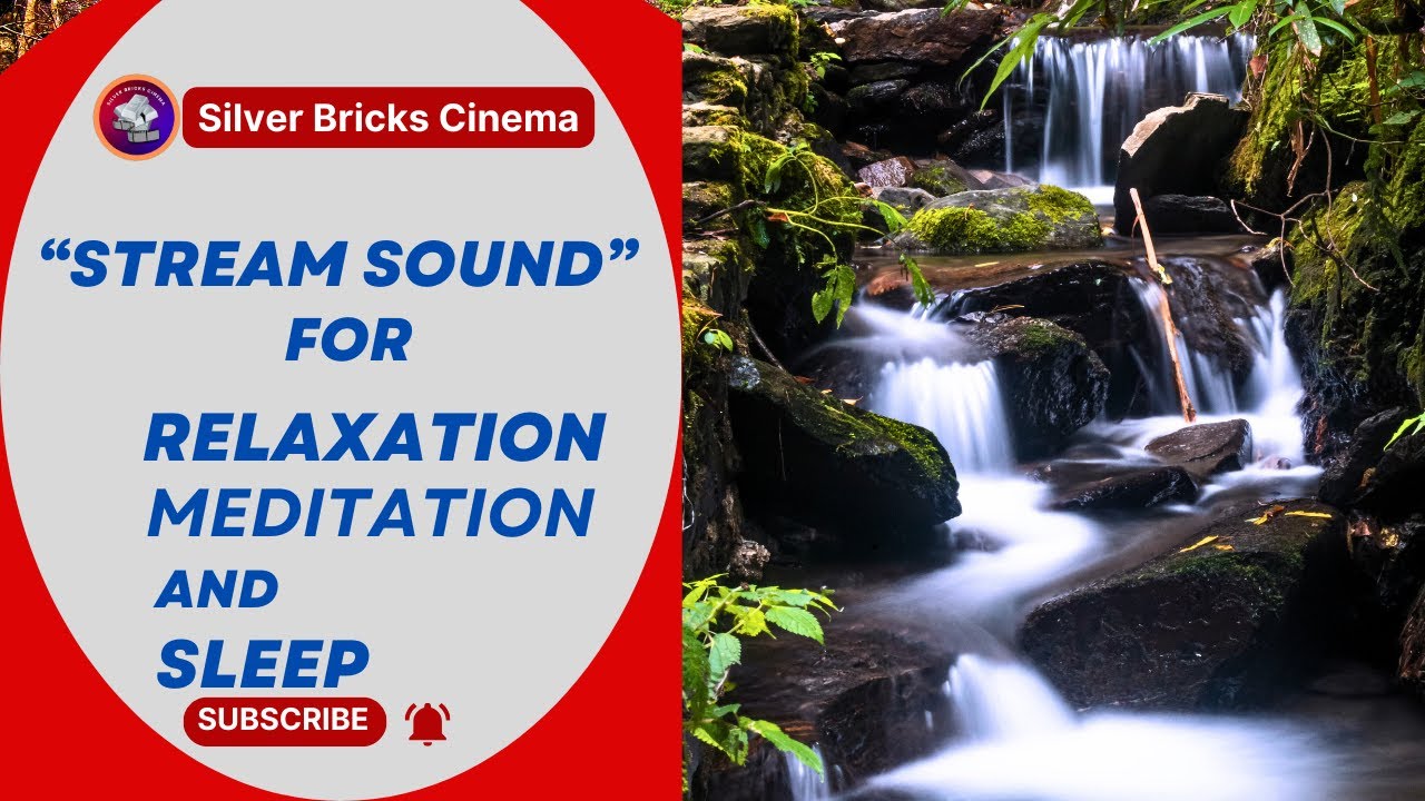 Serenity in Nature: Stream & Jungle Sounds for Relaxation, Meditation ...
