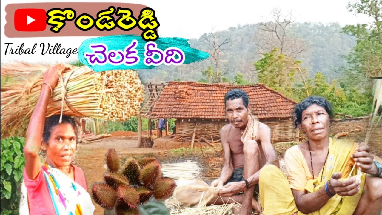 Konda Reddy Tribal Village vlog@Maredumilli | Alluri district|Andhra ...
