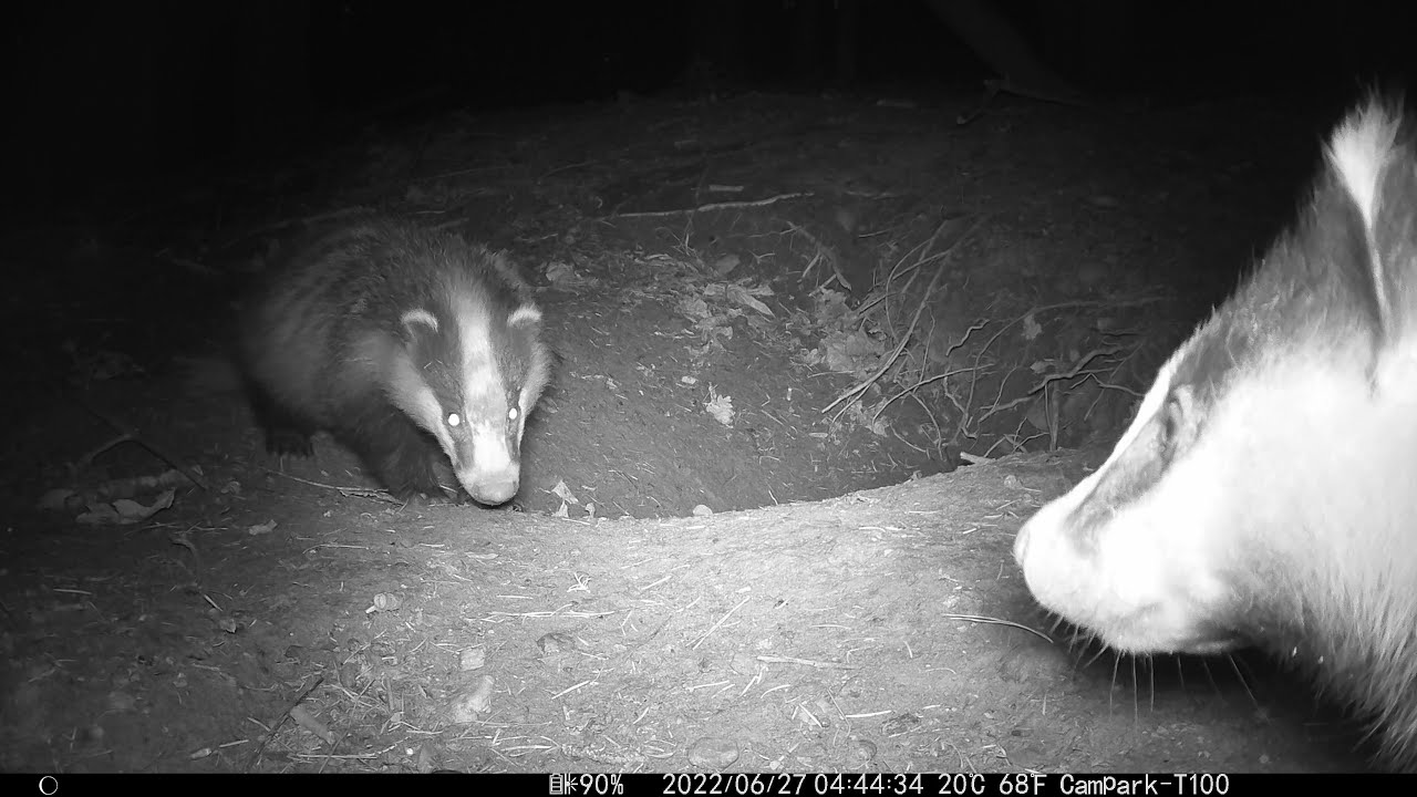 Campark T100 4k footage #10 - YouTube