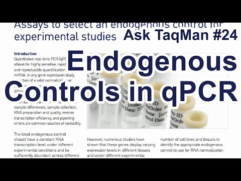 Endogenous Controls in qPCR - Ask TaqMan #24