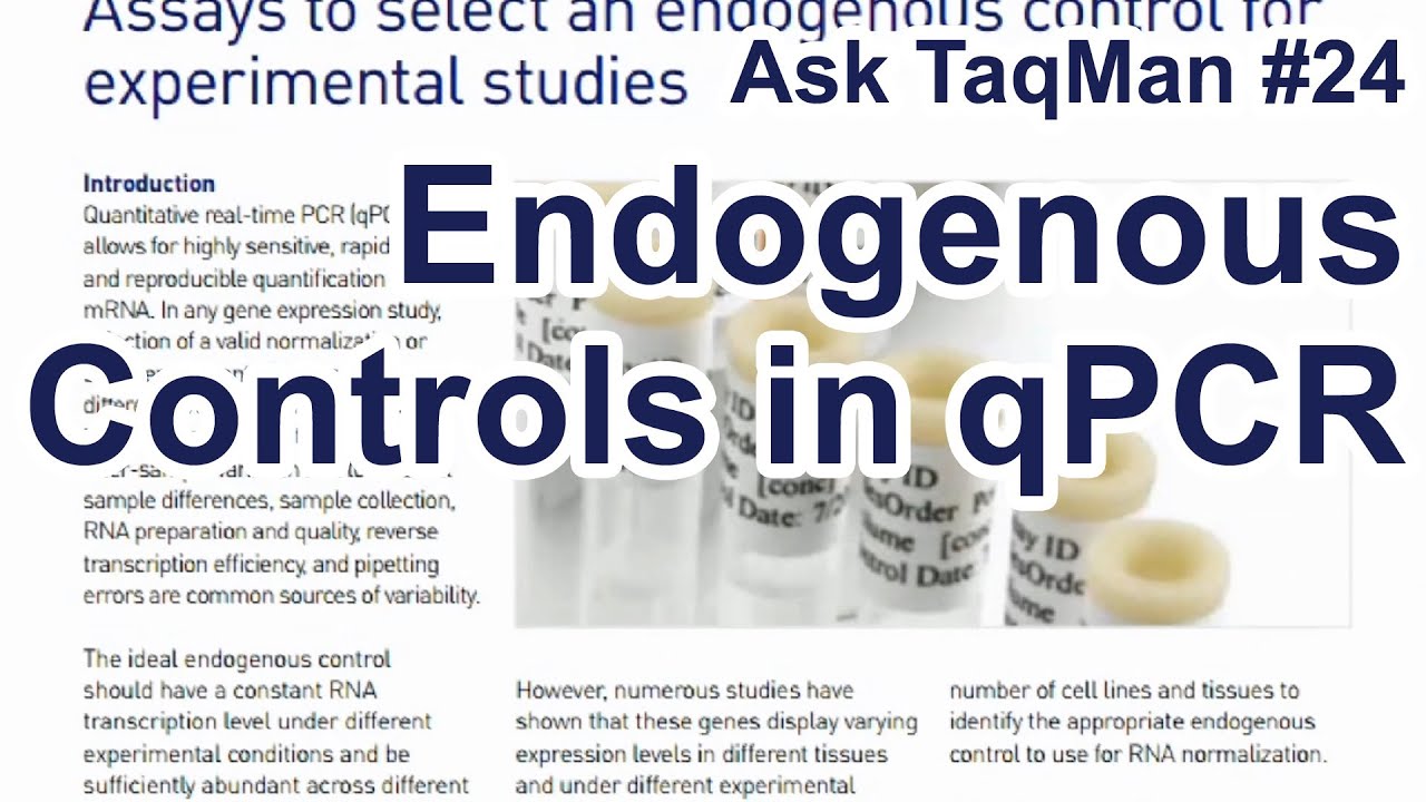 Endogenous Controls in qPCR - Ask TaqMan #24 - YouTube