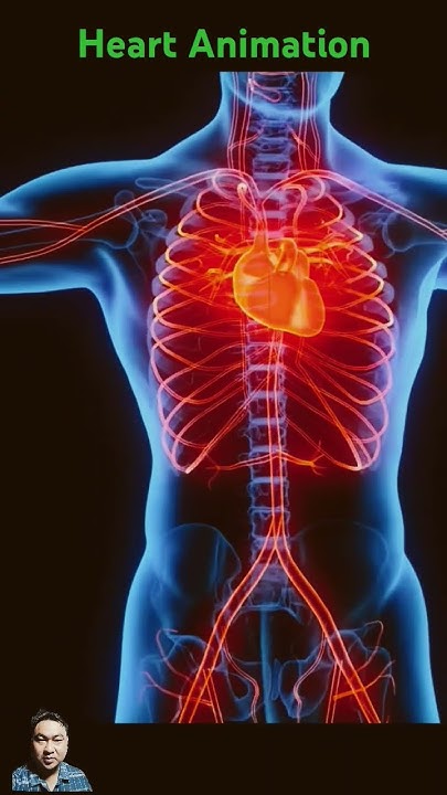 Heart Animation #shorts - YouTube