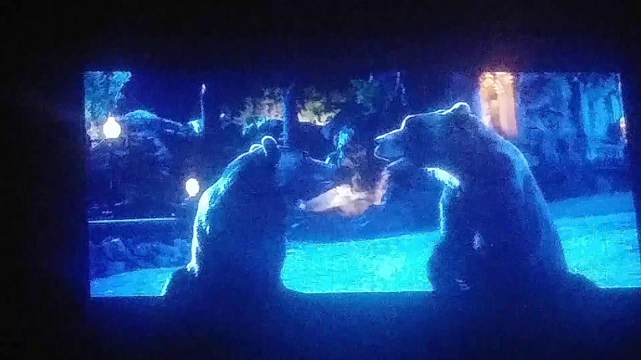 zookeeper Bear fight scene 😂 - YouTube