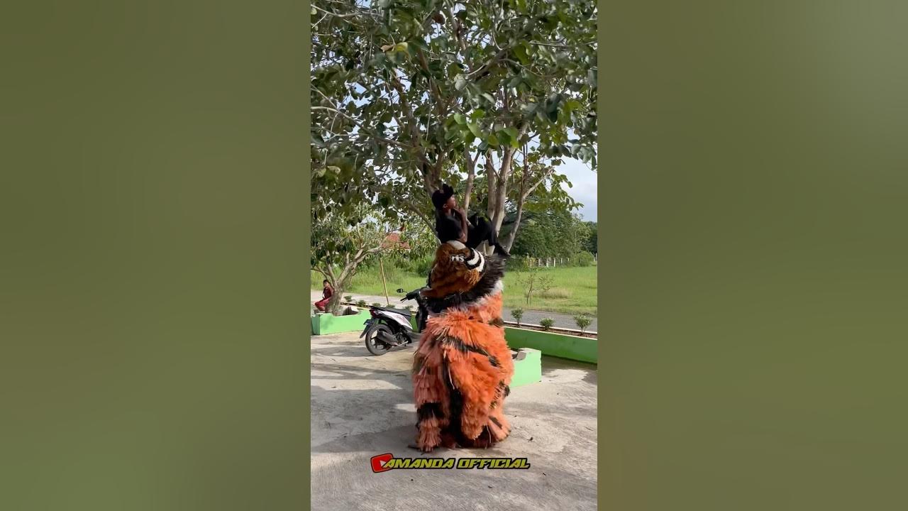 Pasukan bocil Lari di kejar can macanan samape naik ke atas pohon - YouTube