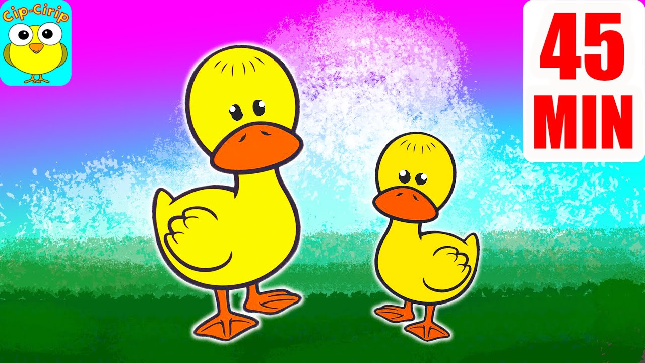 Ratustele Mac-Mac sunt tare suparate - Cantece pentru copii (desene ...