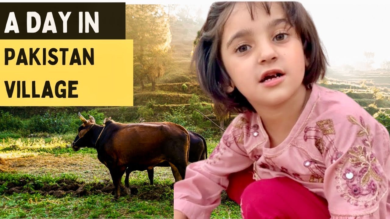 Pakistani village vlogs | Pakistan vlog video - YouTube