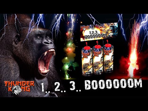 1.. 2.. 3.. BOOOOOOM - 04201 | CAT F2 | Official video