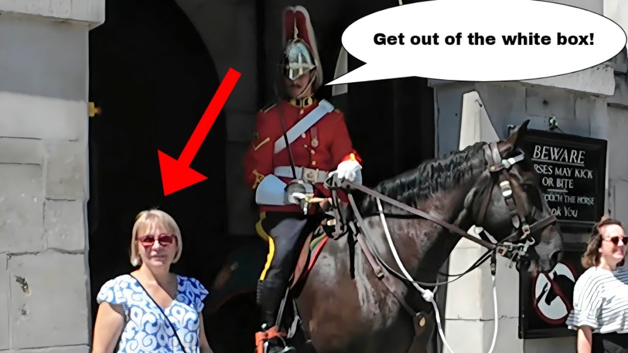 Royal Canadian Guard tells tourist off to Get out of the white box! - YouTube
