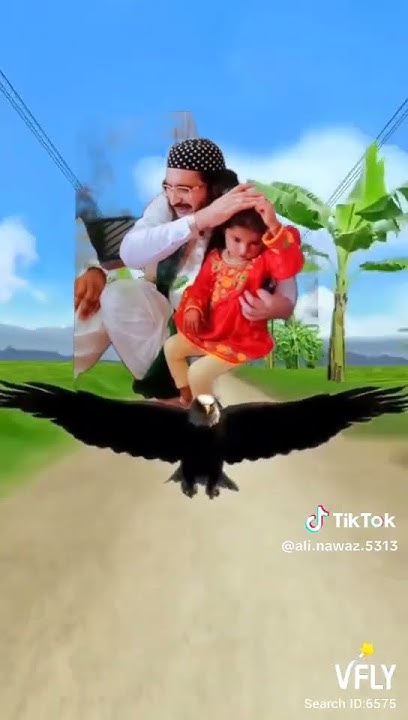 November 13, 2024 - YouTube