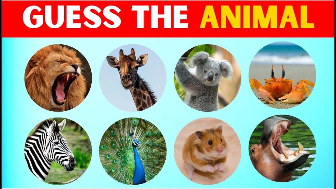 Guess 50 Animals in 7 Seconds | Easy Version | From Kids to Adults 🐶🦁🦉🐷 ...