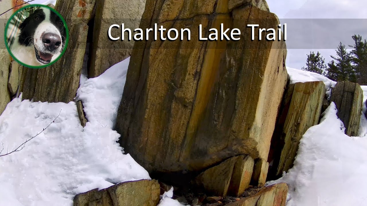 Charlton Lake Trail | Willisville, Ontario | Dog and Deer - YouTube