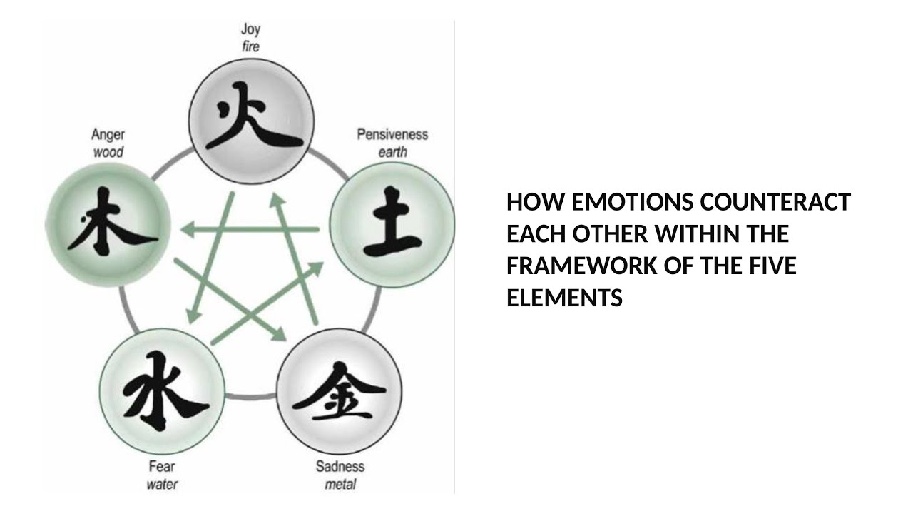 HOW EMOTIONS COUNTERACT EACH OTHER WITHIN THE FRAMEWORK OF THE FIVE ...