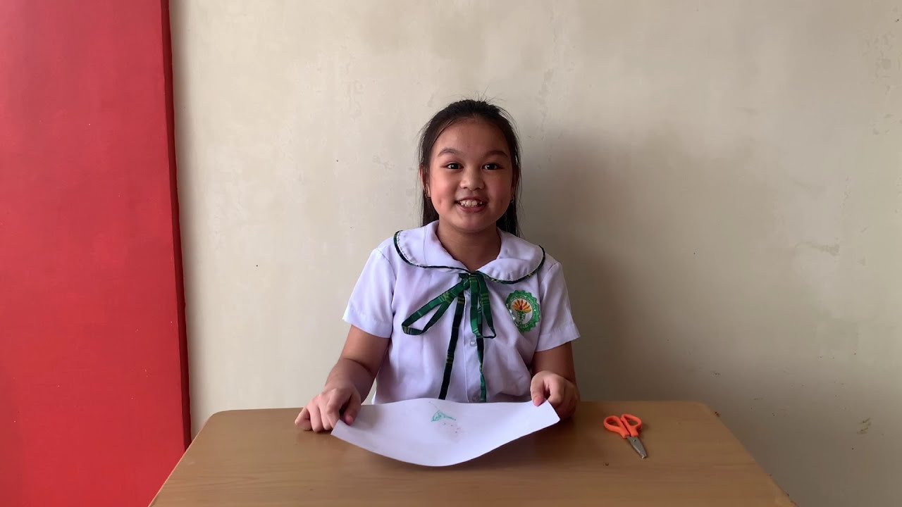 Performance Task In Science | Grade 3 Activity | Physical and Chemical ...